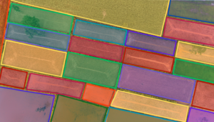 Polygon Annotation & Labeling Services | Pixel Annotation